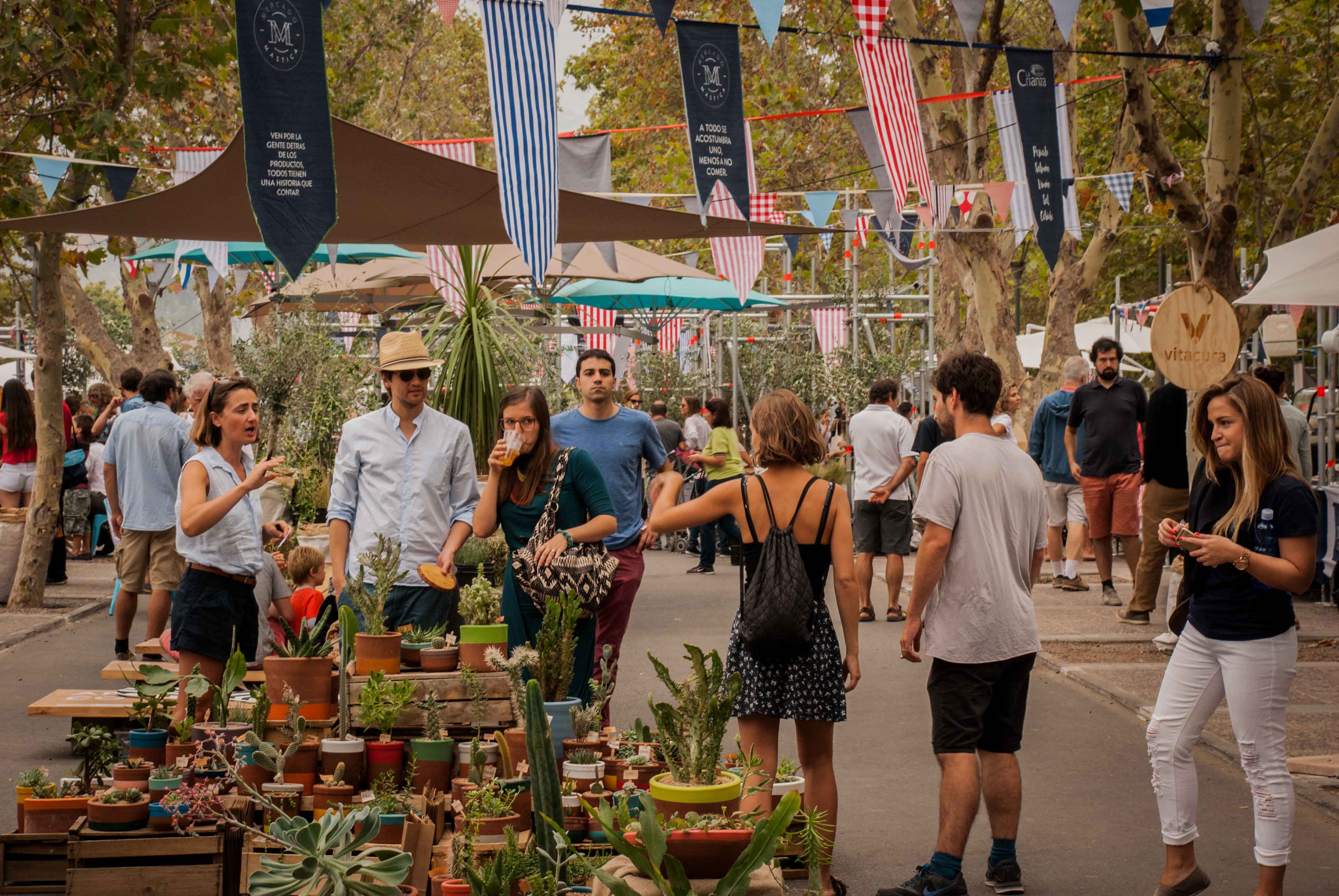 MERCADO MASTICA | A Dónde Vamos