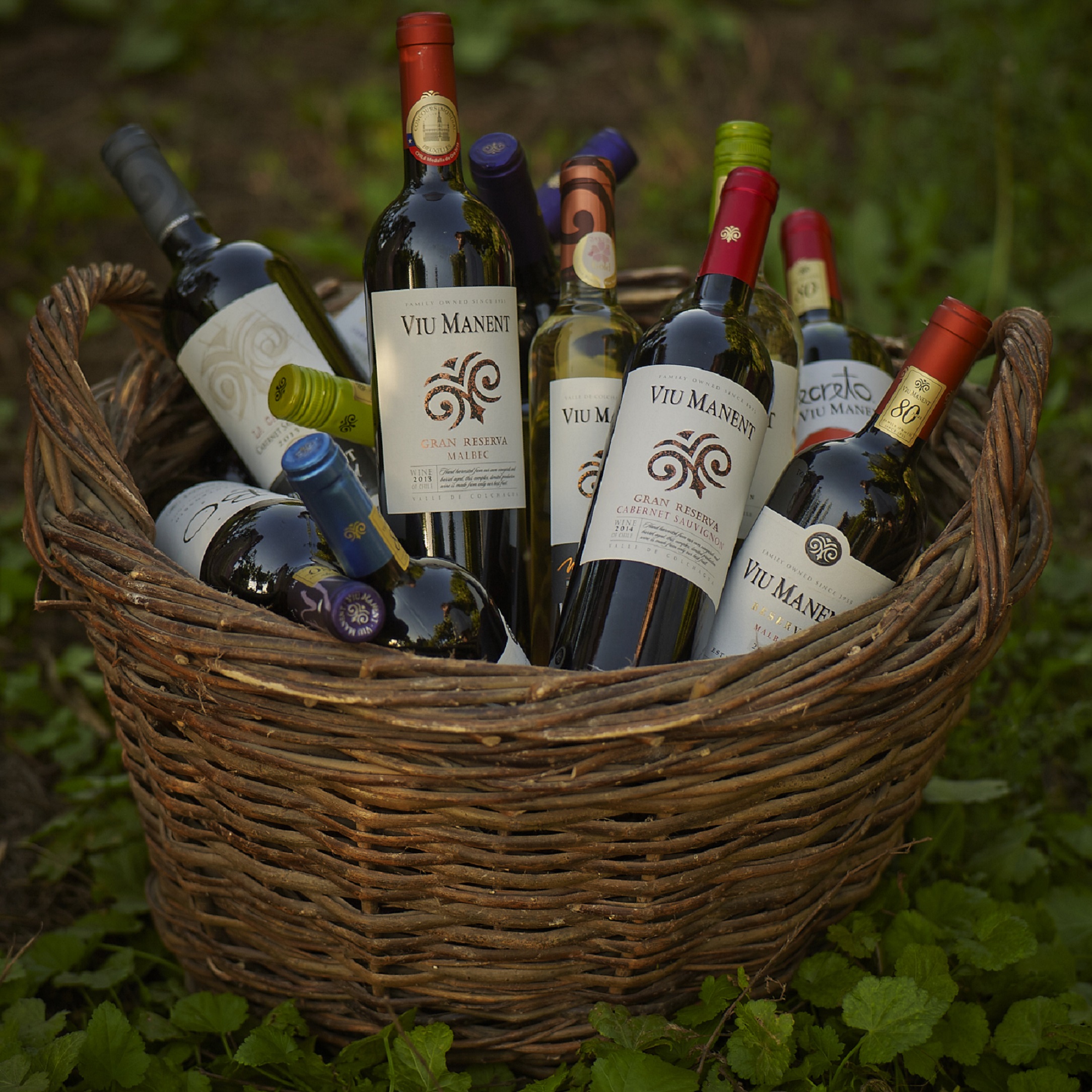 VIÑA VIU MANENT CELEBRA EL DÍA NACIONAL DEL VINO CON SUS PUERTAS ABIERTAS EN COLCHAGUA | A Dónde ...