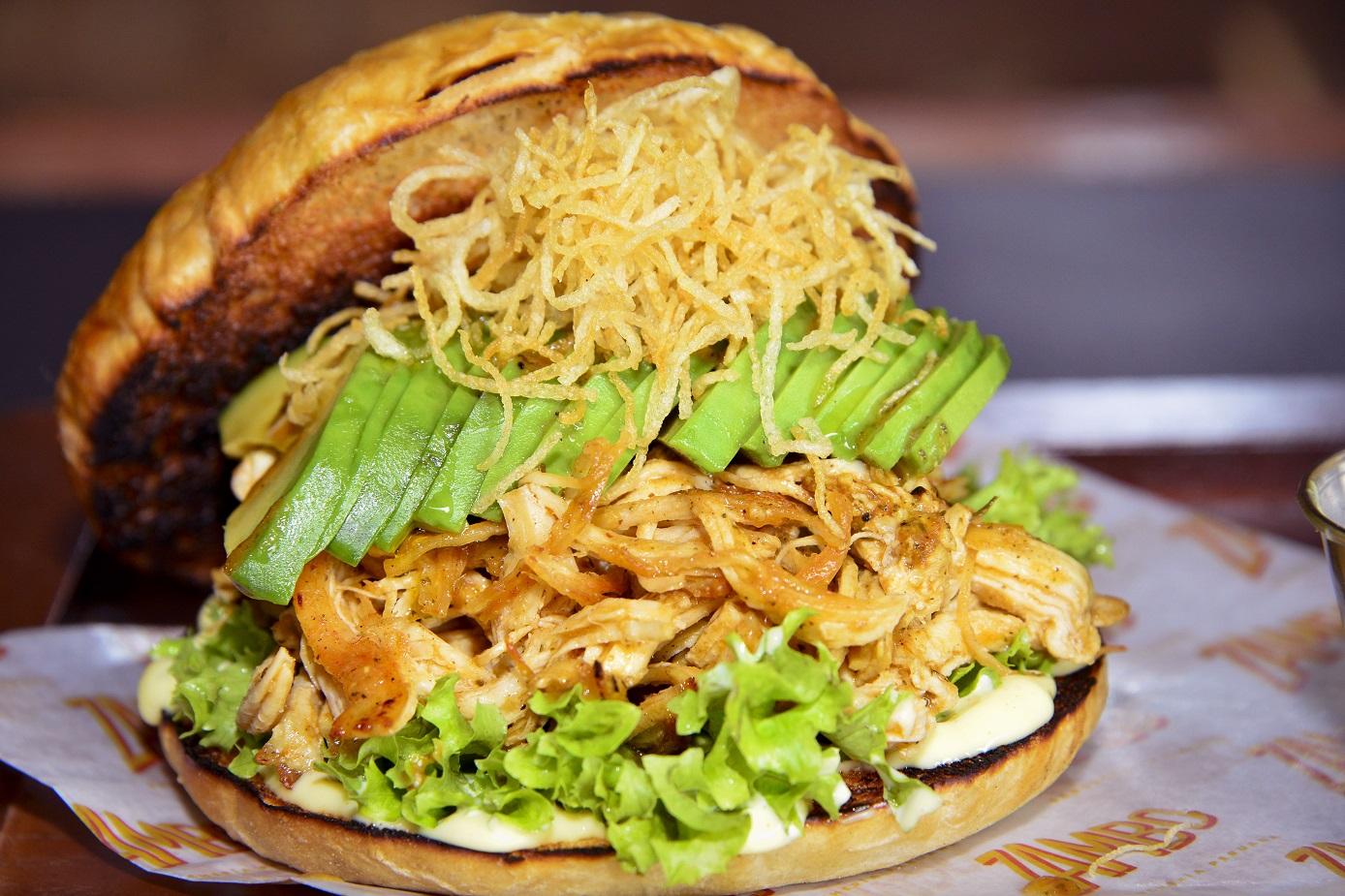 zambo y su nueva propuesta | A Dónde Vamos